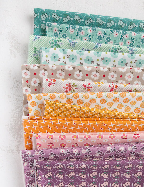 Riley Blake Designs | Novelty and Children's Fabrics at Cottoneer Fabrics